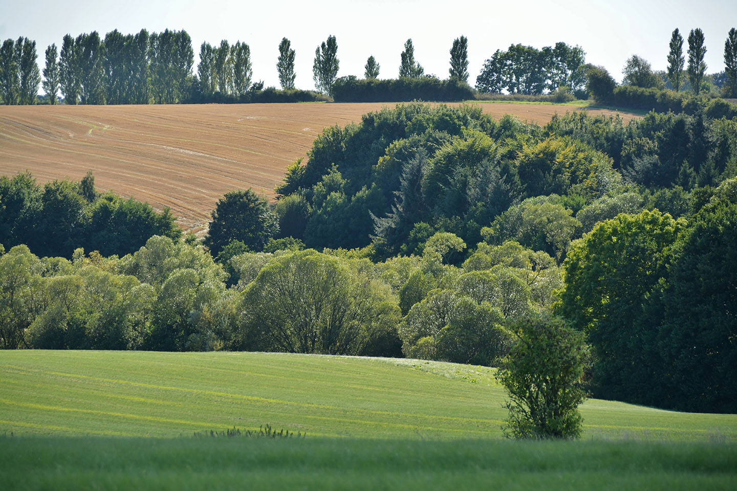 Compulsory acquisition